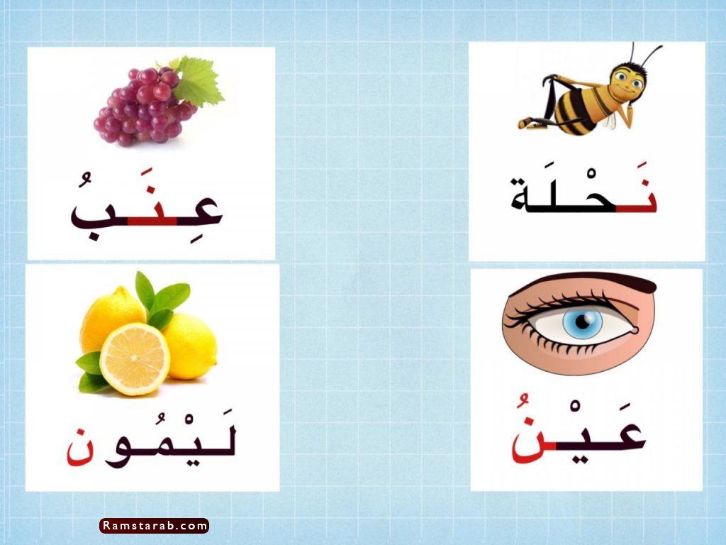 صور حرف ن كلمات حرف ن | رمسة عرب